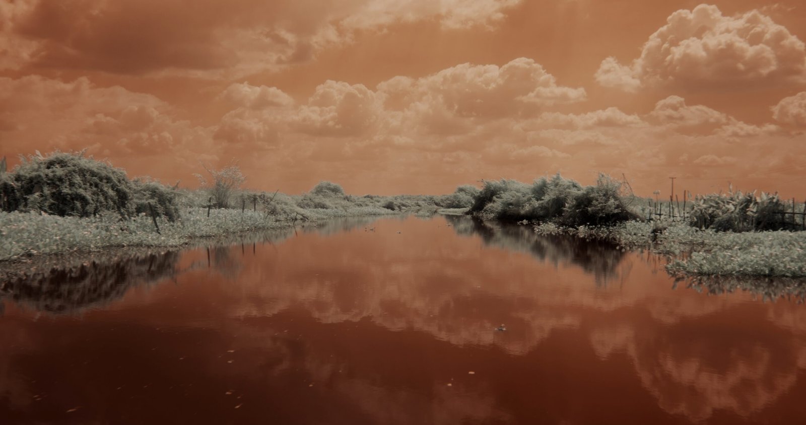 #AgendaCulturalBFC: da fotopintura no Cariri às paisagens em transformação